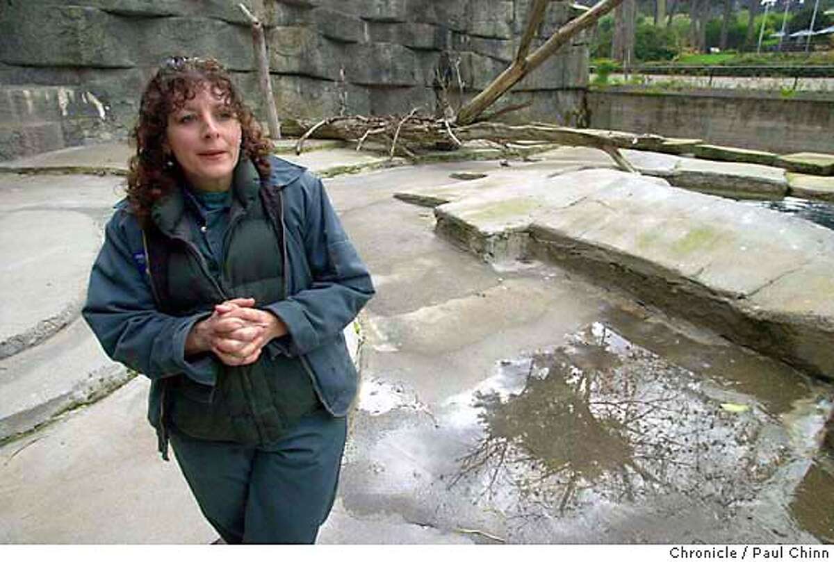 Hunt is on for polar bear mate / Single, 636-pound gal, lives at S.F ...