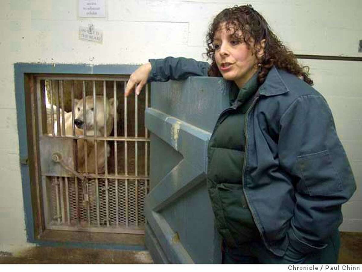 Hunt is on for polar bear mate / Single, 636-pound gal, lives at S.F ...