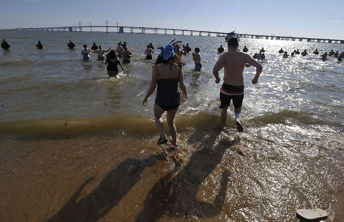 Polar bear plunge!