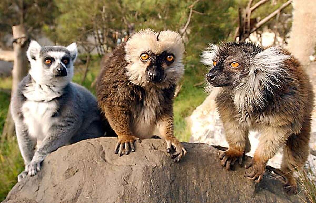 Day-After Doings / How to entertain the out-of-towners when the dust ...