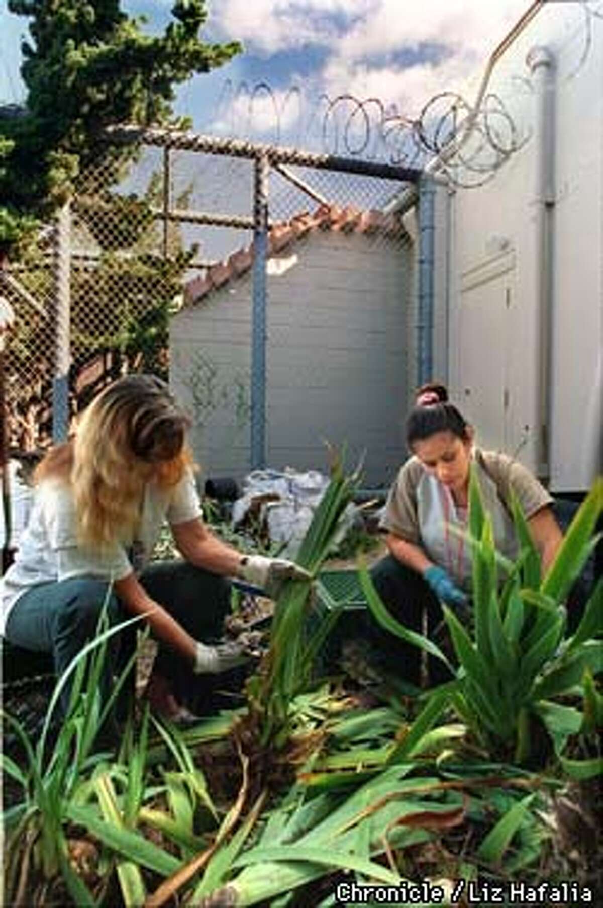 A Garden Takes Root / New project blossoms at Milpitas women's prison