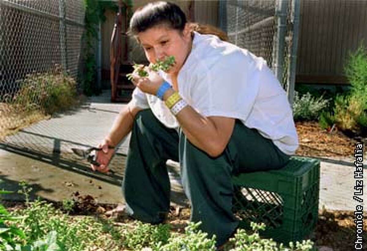 A Garden Takes Root / New project blossoms at Milpitas women's prison