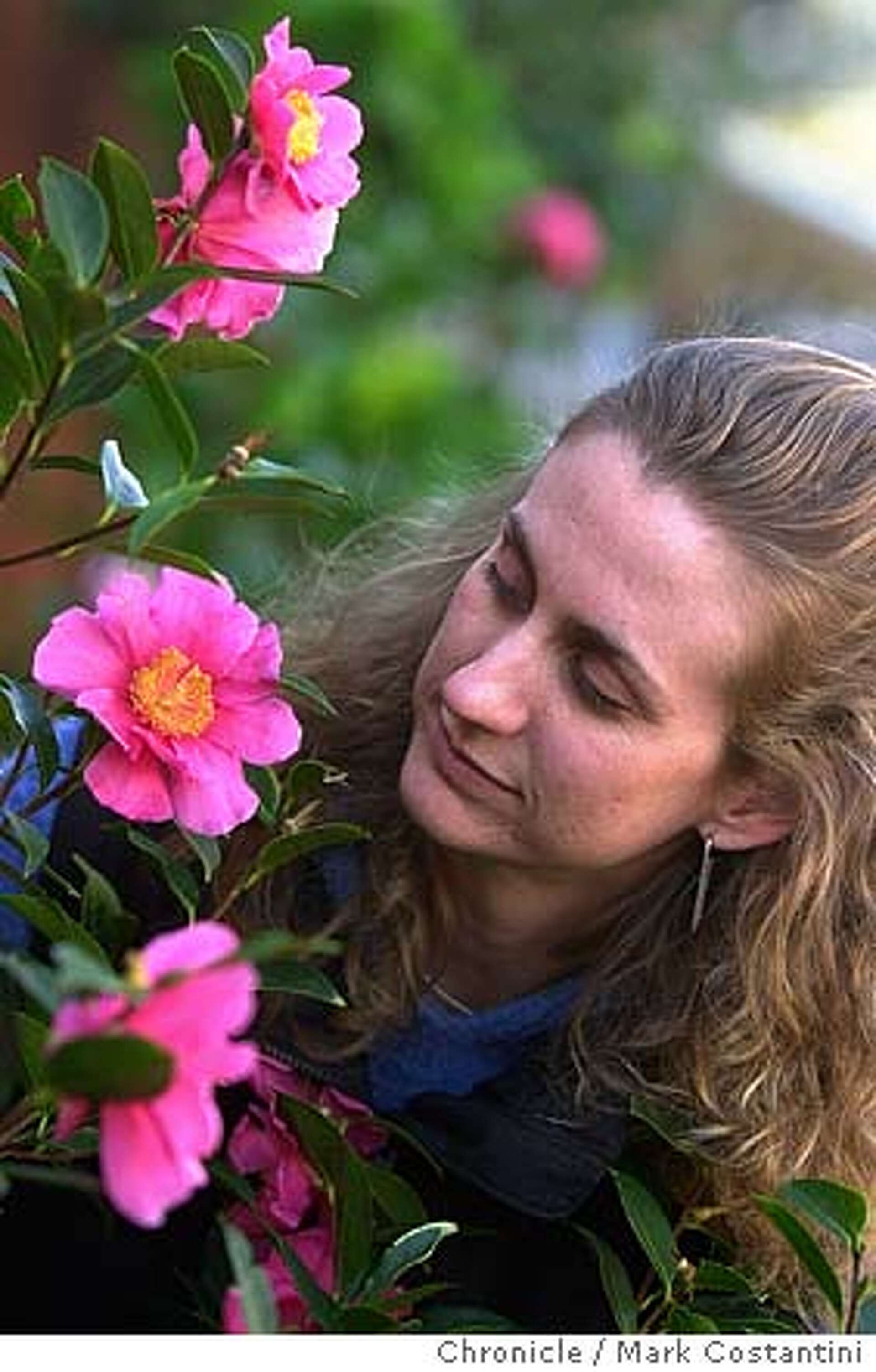 Show time! / San Francisco Flower and Garden Show blooms at Cow Palace