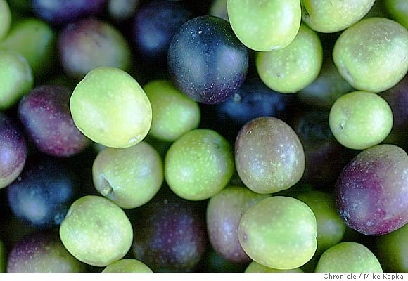 Liquid gold / Tiny Spanish olive makes waves in California's olive oil ...