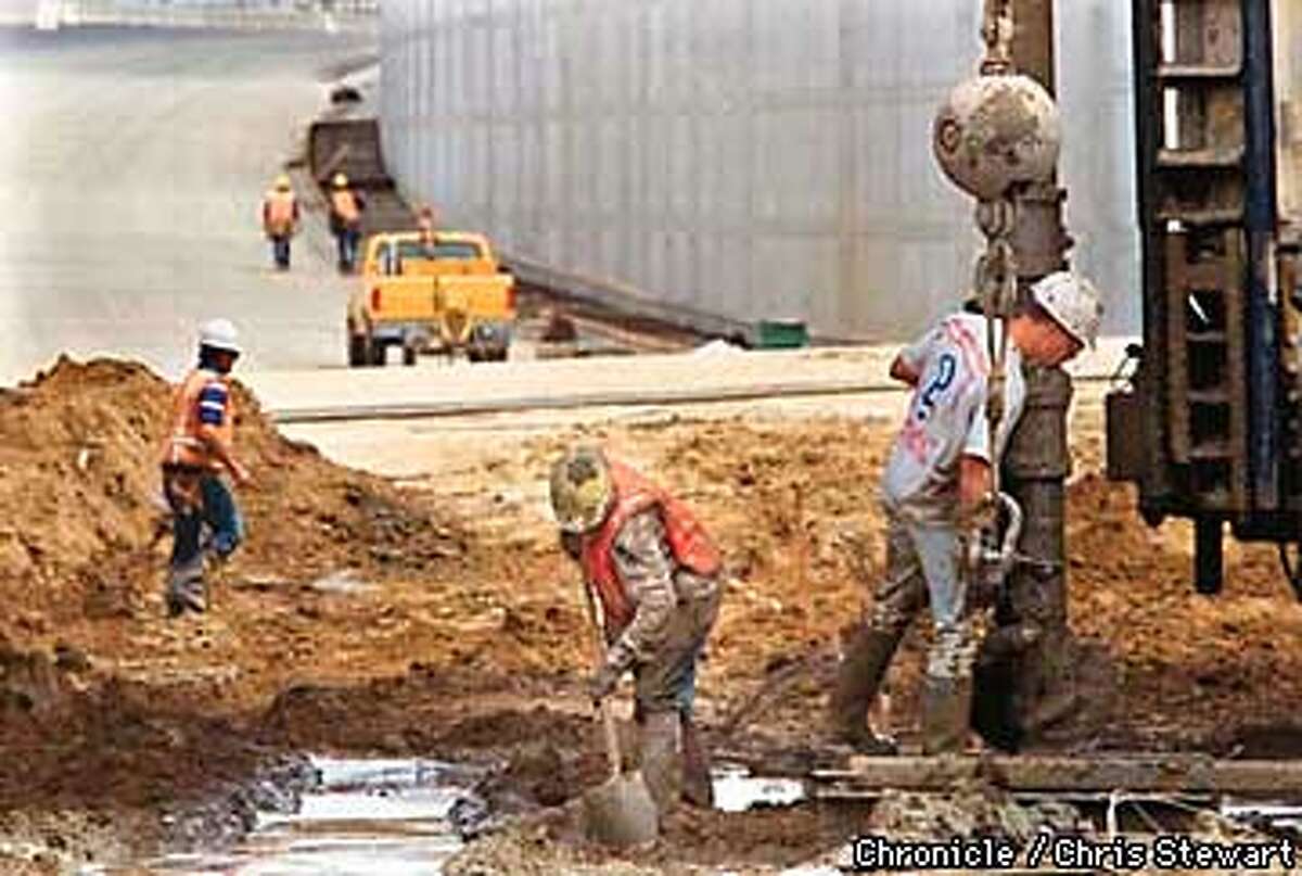 PAGE ONE -- The Cypress Returns in Another Place / 8-year project nears ...