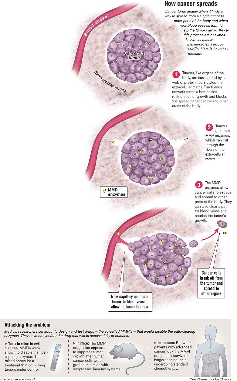 Misdiagnosis / Failure of promising cancer treatment leads to soul ...