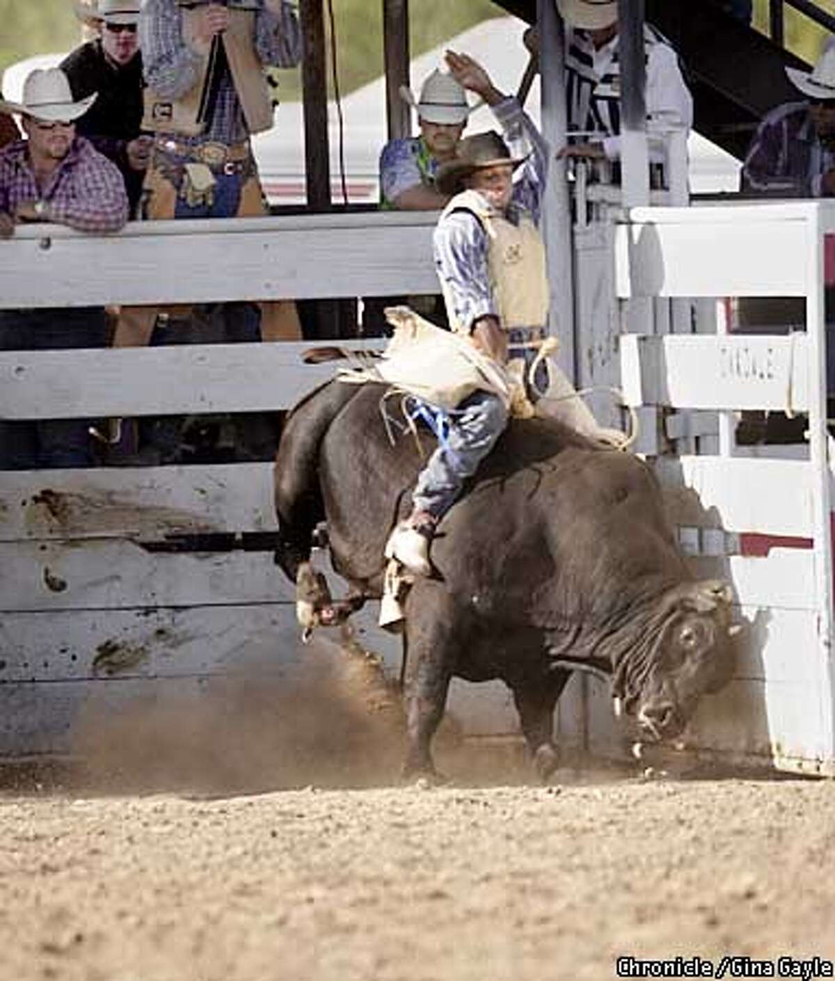 Hooked on rodeo / A city slicker from East Oakland grows up to find ...