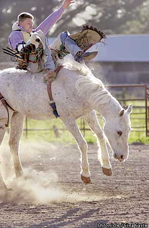 Serious injury doesn't slow cowboy / Bronc rider returns from what ...