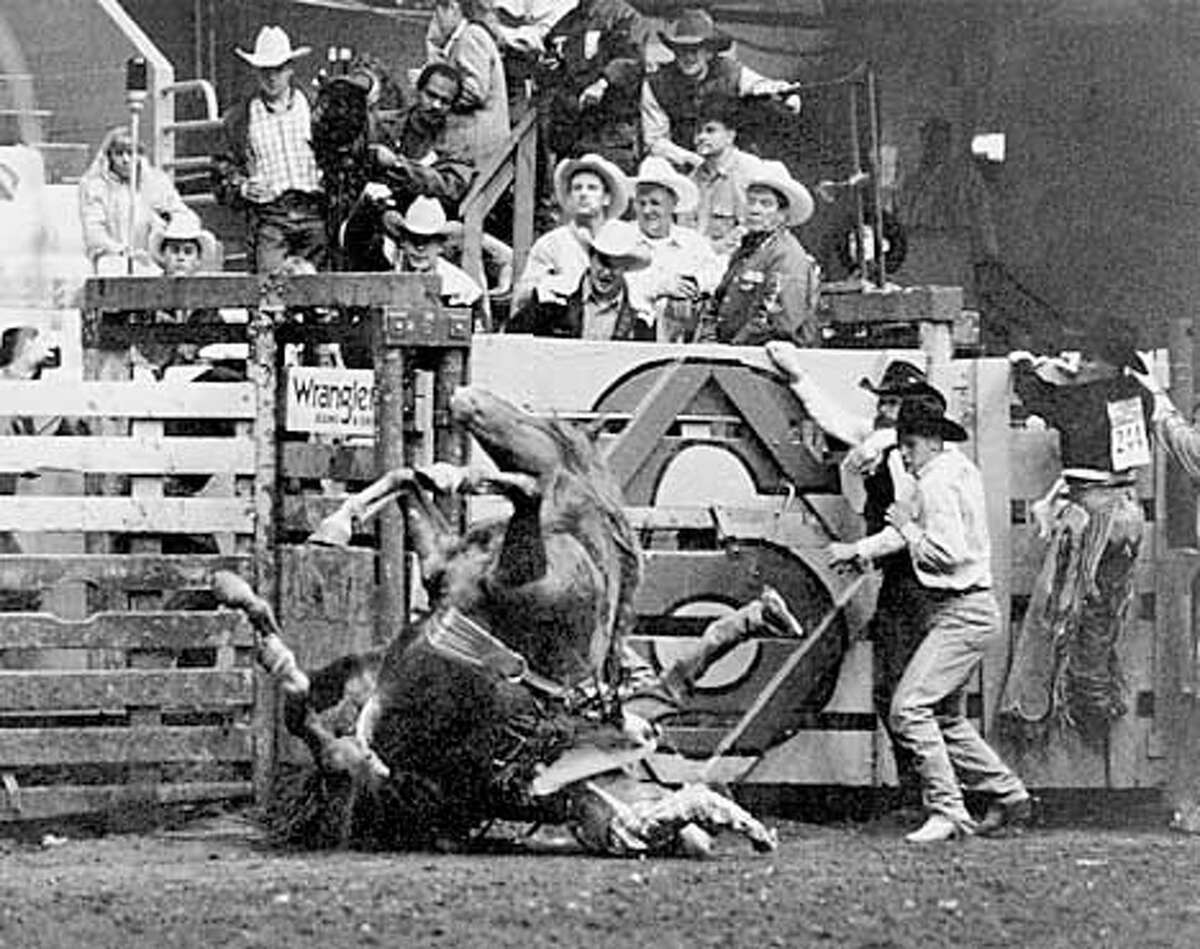 Bronc rider returns from what should have been a career-ending injury