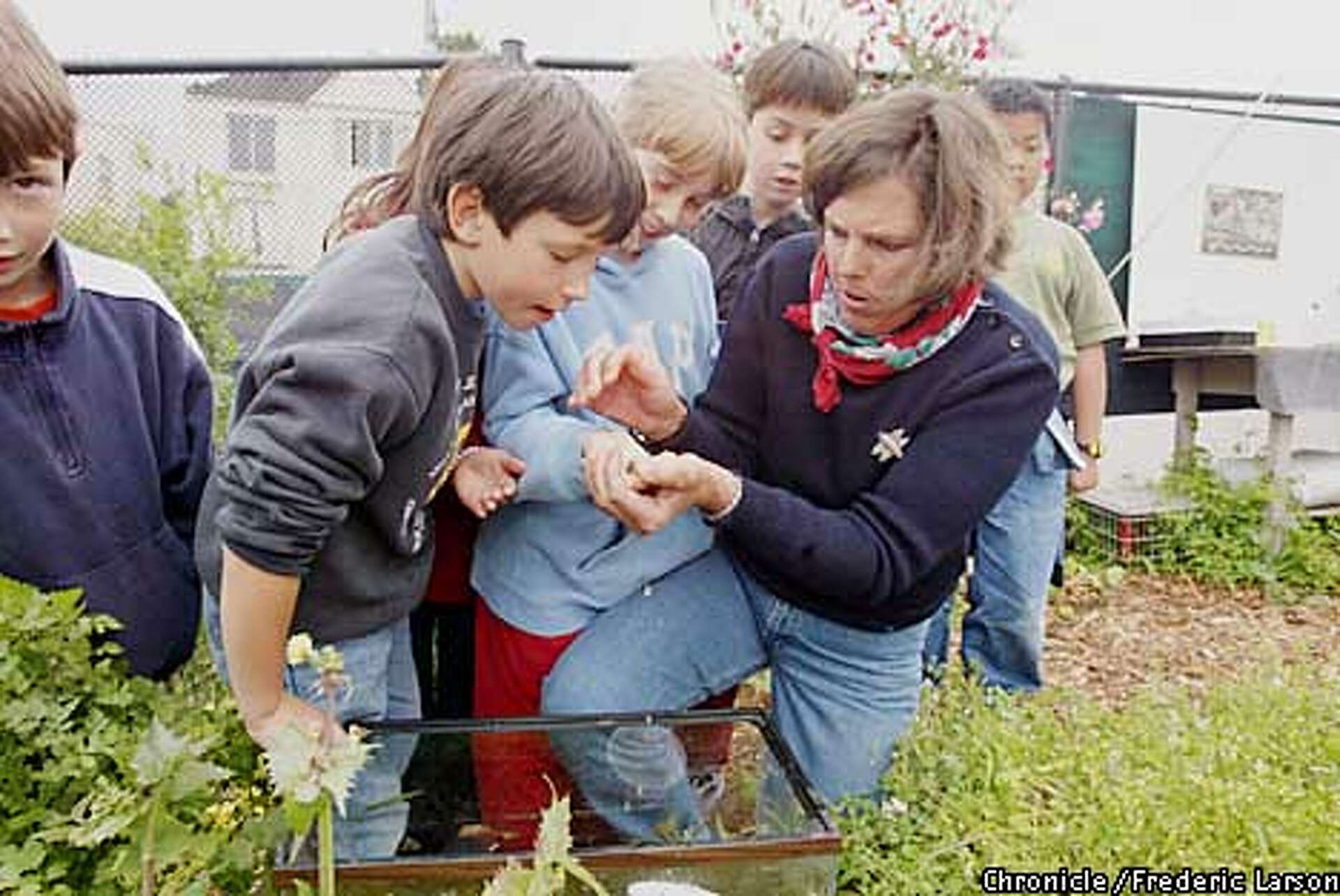 Cultivating school grounds / Elementary school gardens a good place to ...