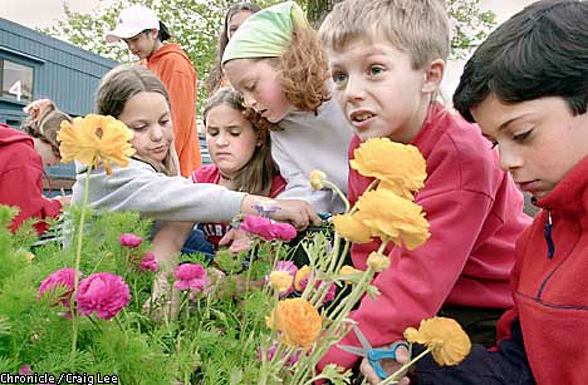 Cultivating school grounds / Elementary school gardens a good place to ...