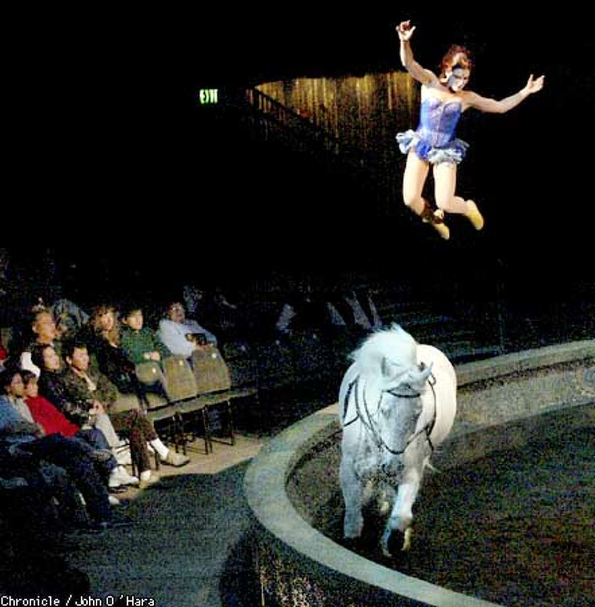 Plenty of horsepower in 'Cheval' / Equestrian circus offers marvels in ...