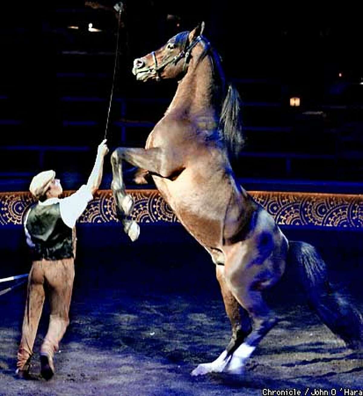 Plenty of horsepower in 'Cheval' / Equestrian circus offers marvels in ...