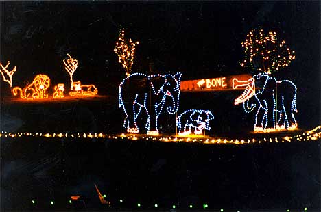 Zoolights plugs in to holidays