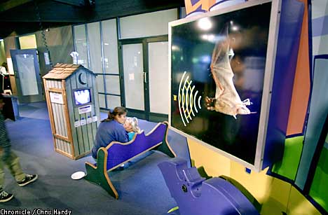 EDUCATION / Kids flock to exhibit on bats / Interactive fun for all at ...