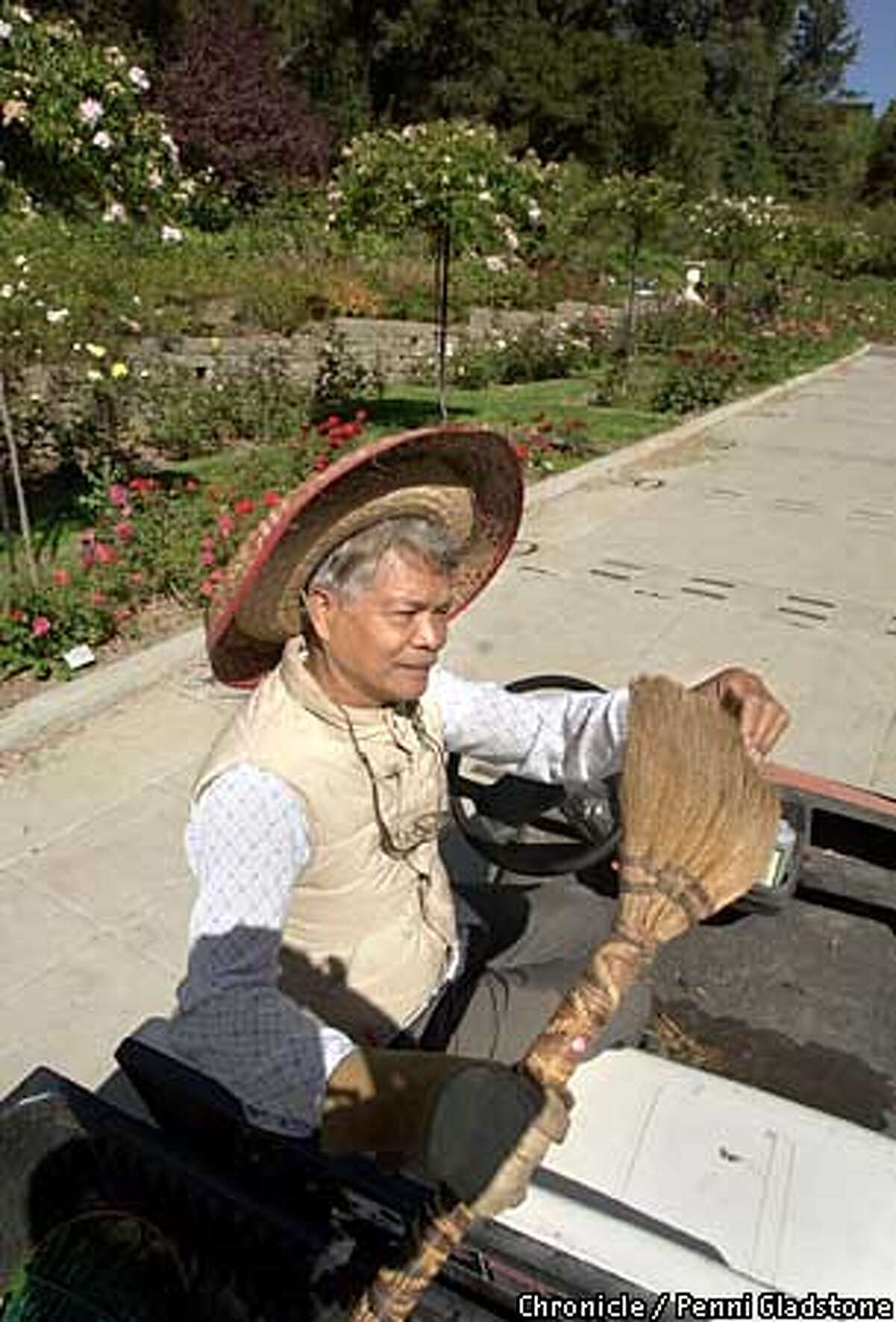 Blooming for Mother's Day / A rose by any other name would be Morcom