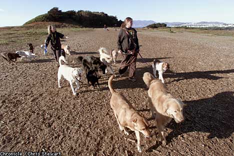 Impassioned howls from angry dog owners / Leash law provokes new howls ...