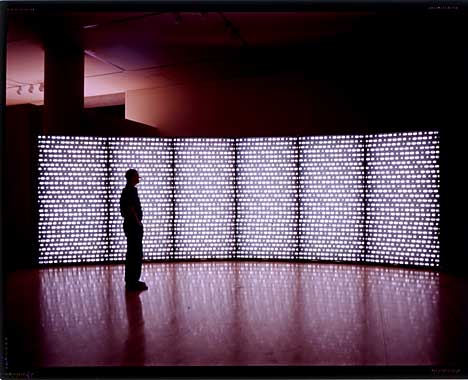 REVIEW / Celebrating life from the inside out / Science serves art in ...