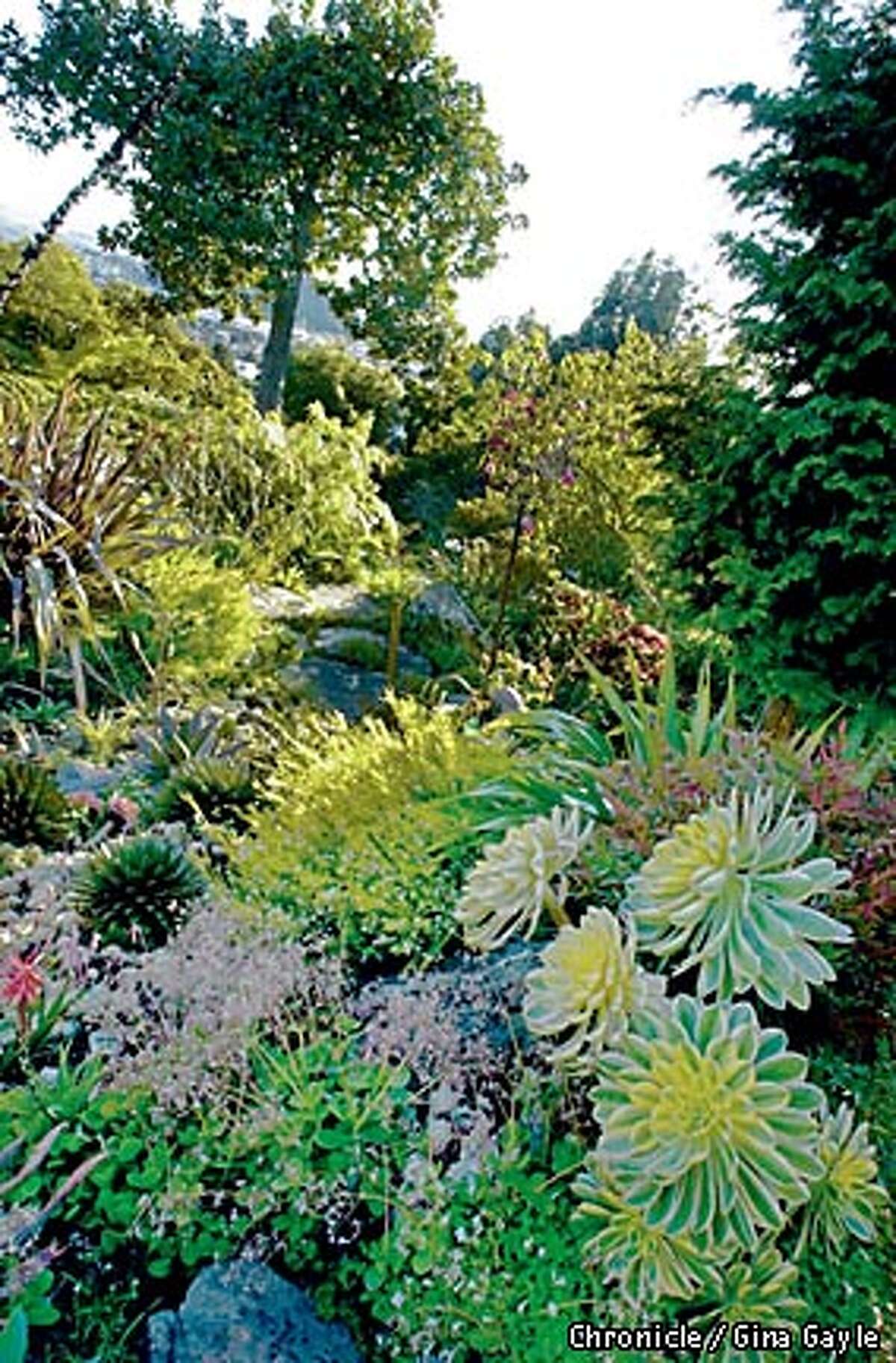 Harland Hand made the most of a hillside with a view