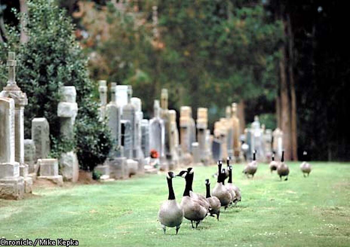 History Lives at Cypress Lawn / A visit to the Colma cemetery is a trip ...