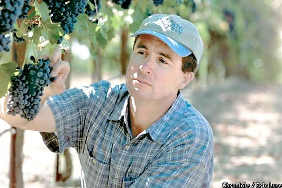 WINEMAKER OF THE YEAR / And vintners on the rise who are behind the ...