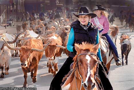 Urban cowgirl / Herding cattle up the street to the Grand National Rodeo