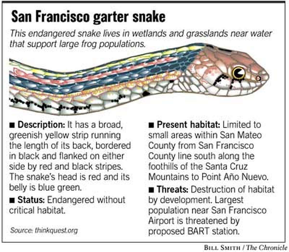 The million-dollar snake