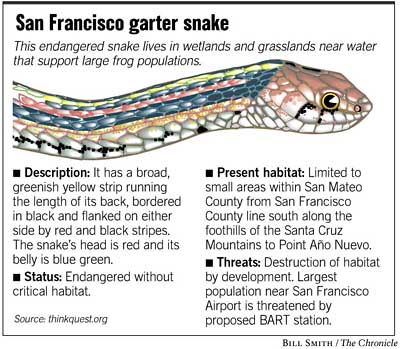 The million-dollar snake