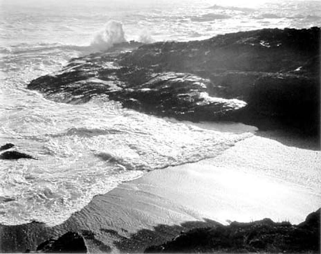 Weston's Point Lobos / Powerful, fresh images are highlight of SFMOMA show
