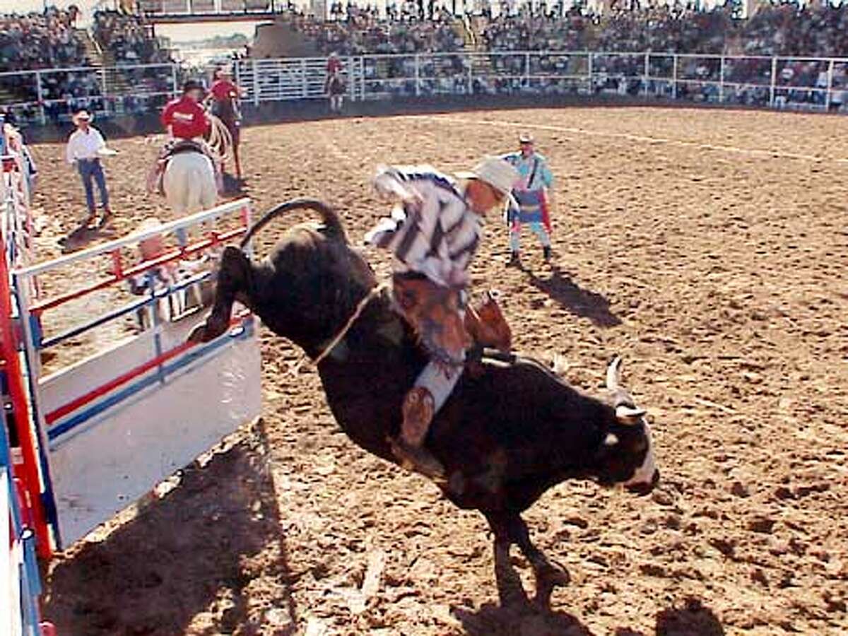 Prison rodeo a tradition / Inmates line up for a chance at a wild ride ...