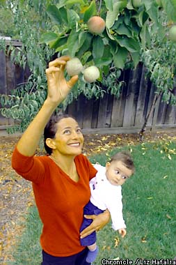 A passion for cooking / Local chefs tap their ethnic roots to create ...