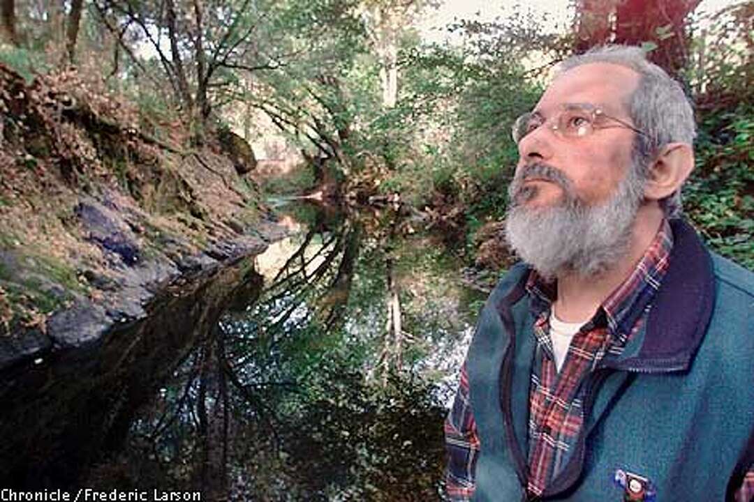 PROFILE / Todd Steiner / Sea turtles to salmon, Marin man makes waves