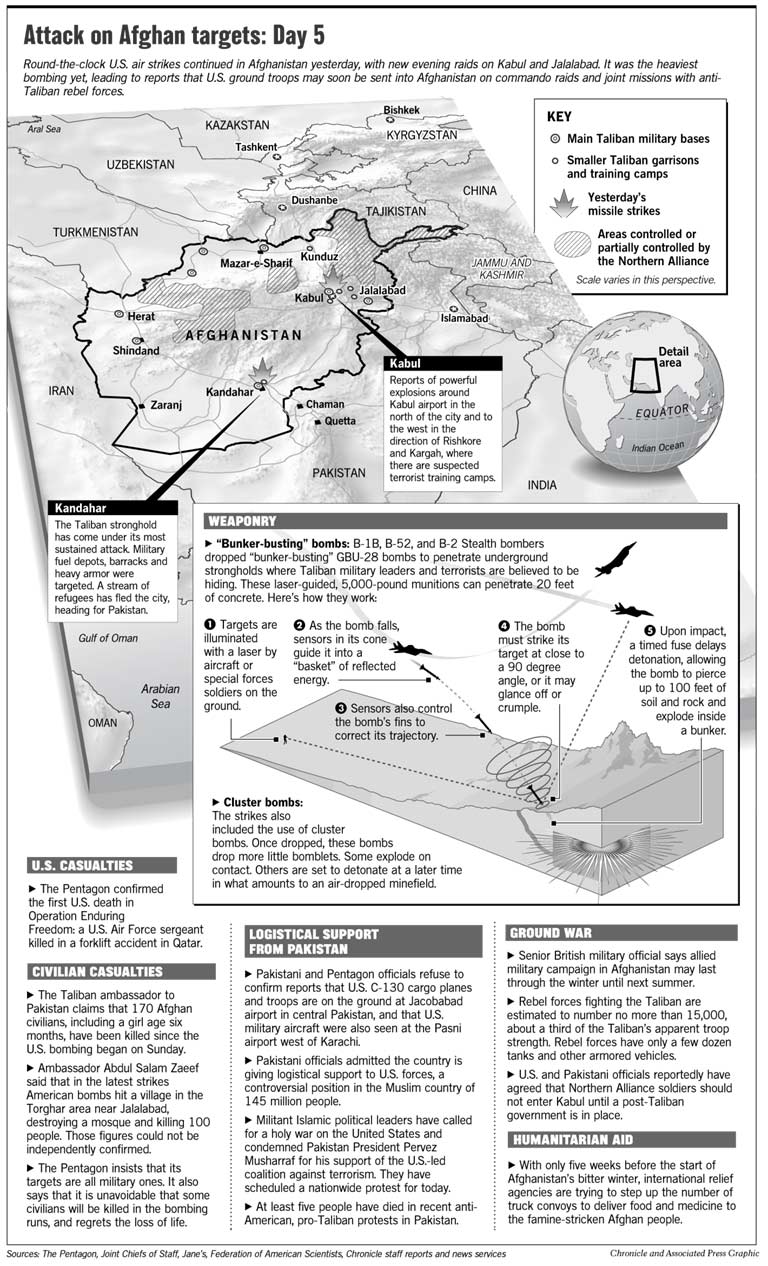 World War on Terrorism: Infographics