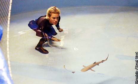 Newborn shark's first mack attack