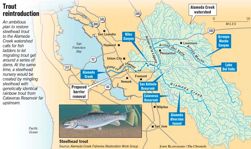 Steelhead restoration / Big plan to restore steelhead