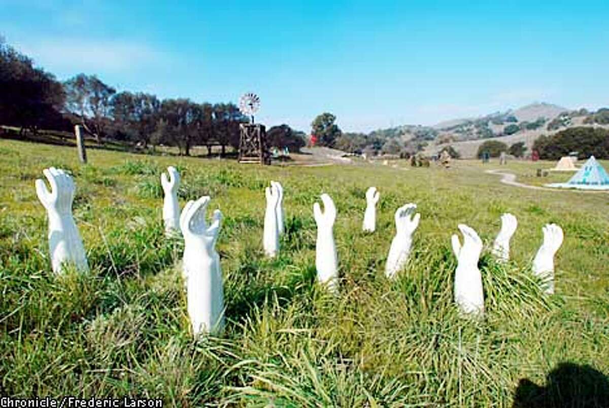 Artful codger / Rene di Rosa converts Napa home, grounds into gallery ...