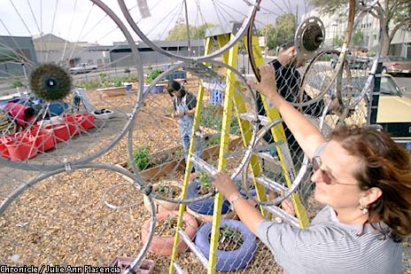 Planting a Seed / Artist helps neighborhood convert neglected spaces ...