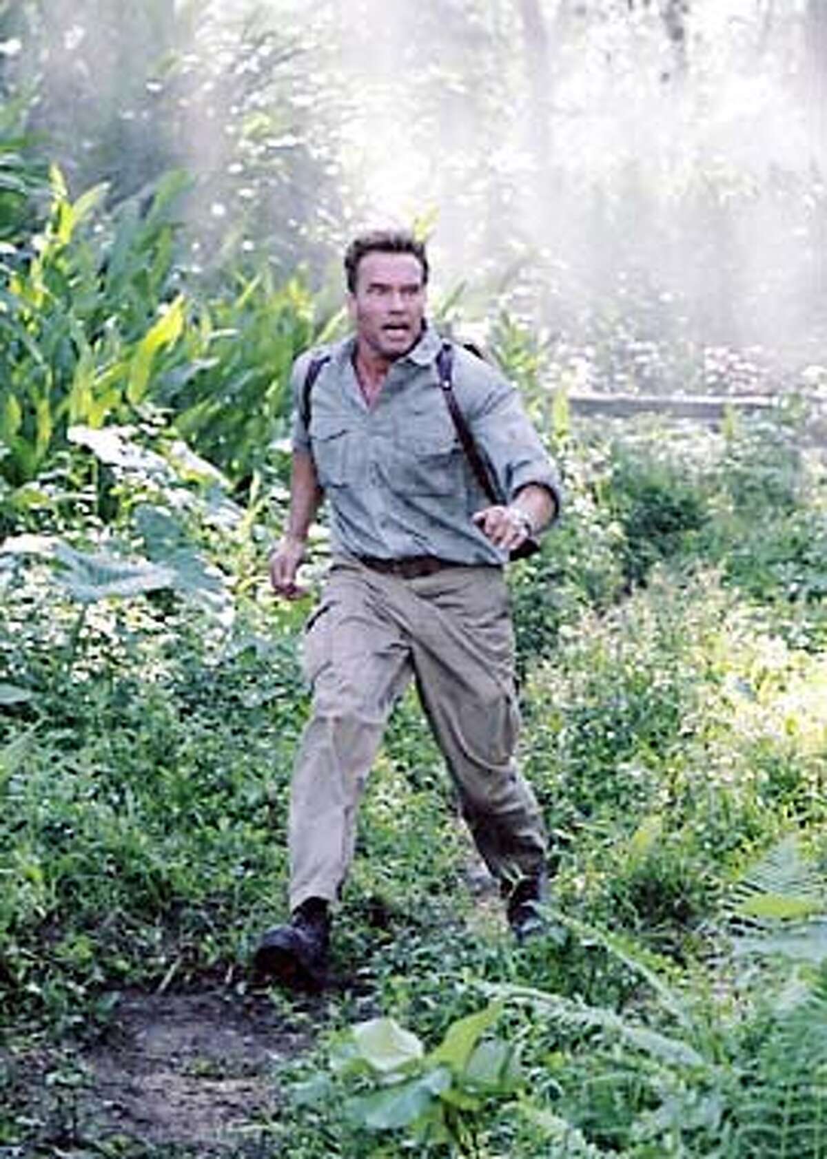 'Damage' beyond repair / Schwarzenegger can't rescue silly if efficient ...