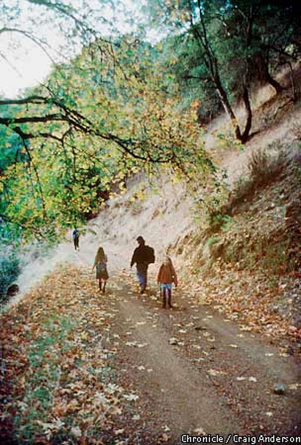 Full-moon hikers delight in beauty of McCormick land