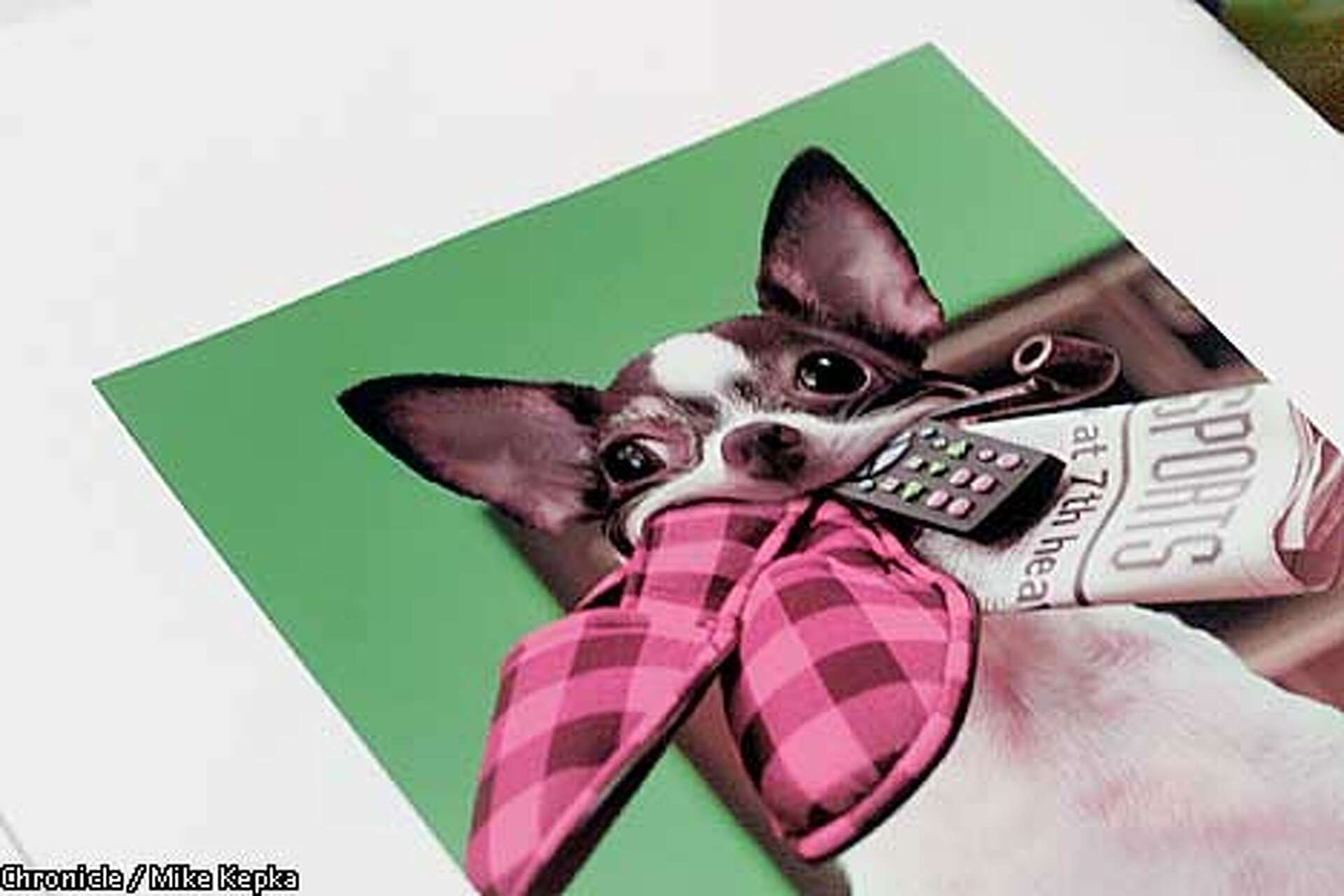 Hot digital dogs and cool cyber cats / John Lund's work combines ...