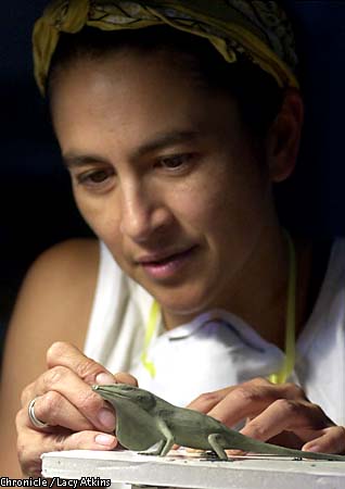 PROFILE / Tami Stewart / A model employee with animal magnetism