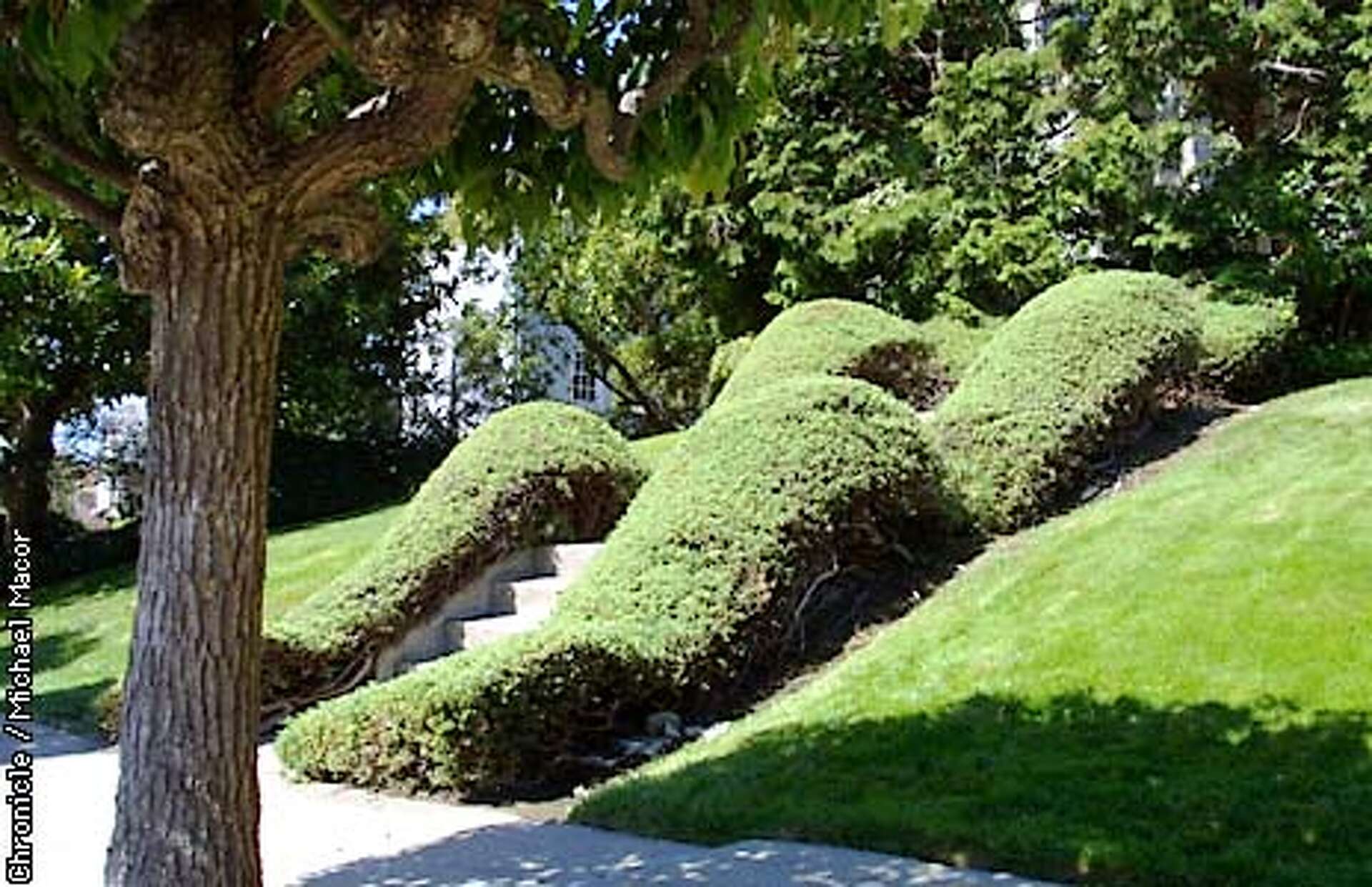 BETTING ON HEDGES