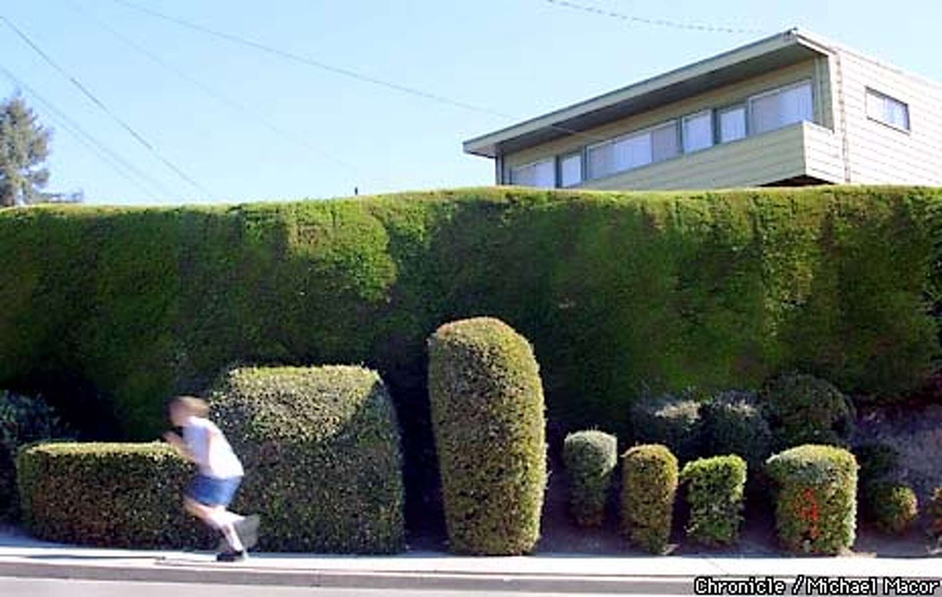 BETTING ON HEDGES