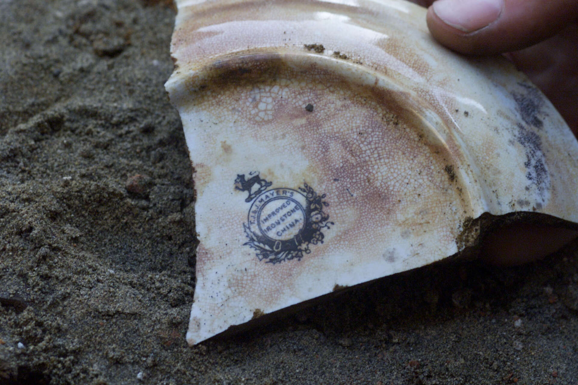 Up from the depths / 150 years after it was buried, Gold Rush ship ...