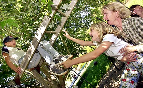 O brother, why fight thou? / Siblings can learn how to resolve their ...