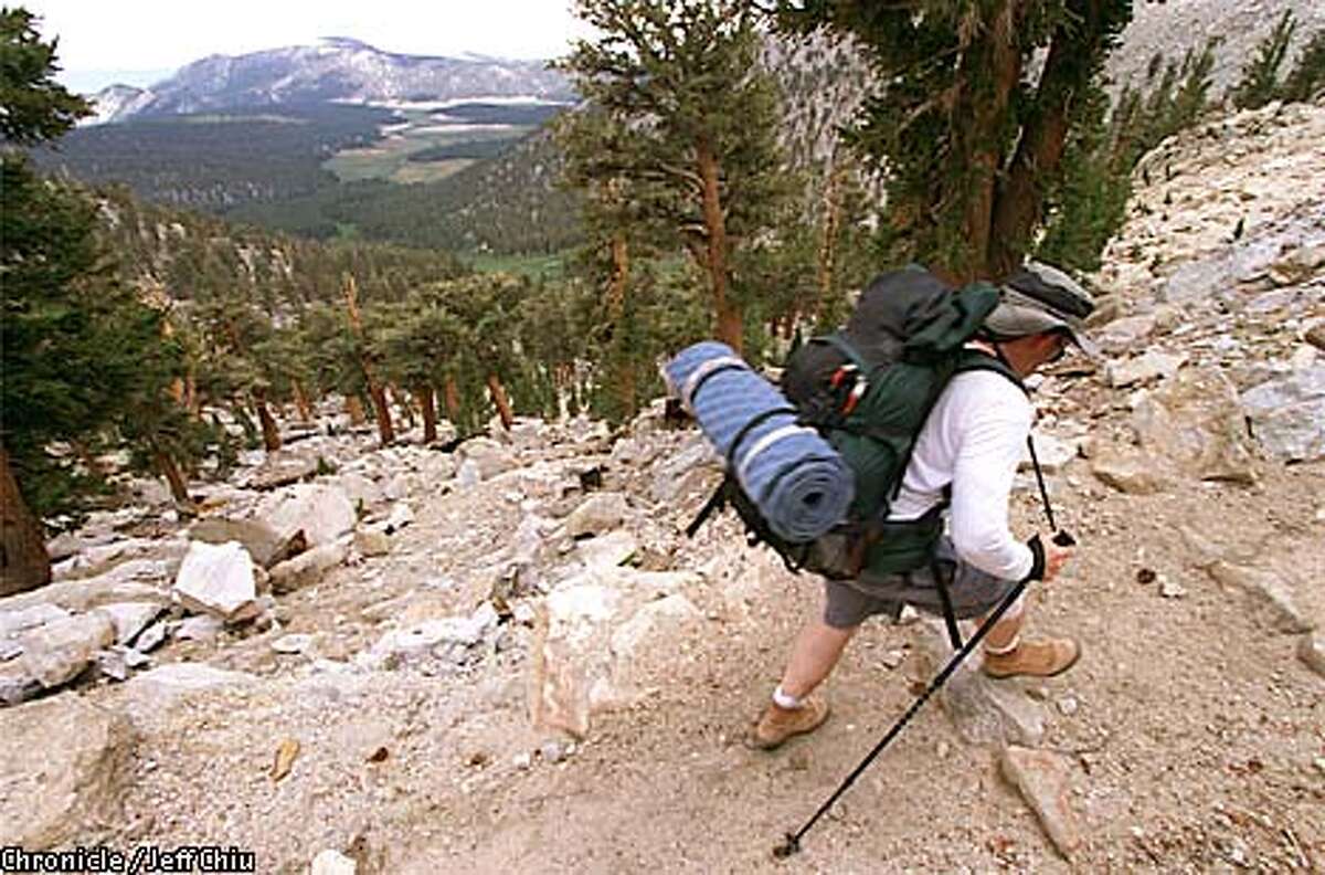 Out for trout / Leave the wilderness behind to seek out a rare and ...