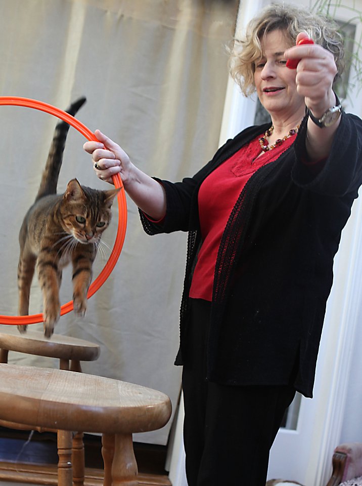 Catastrophe? You need the Cat Coach