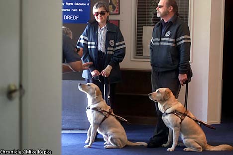 Taxi firm sued over guide dogs / Blind pair say cabbies pass by their ...