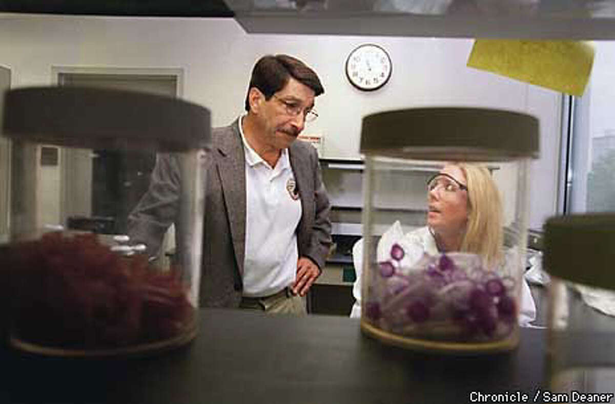 How DNA Fights Crime / Other states make better use of technology