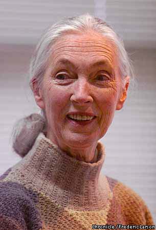 A Faith in Humankind / Naturalist Goodall says there's reason to ...